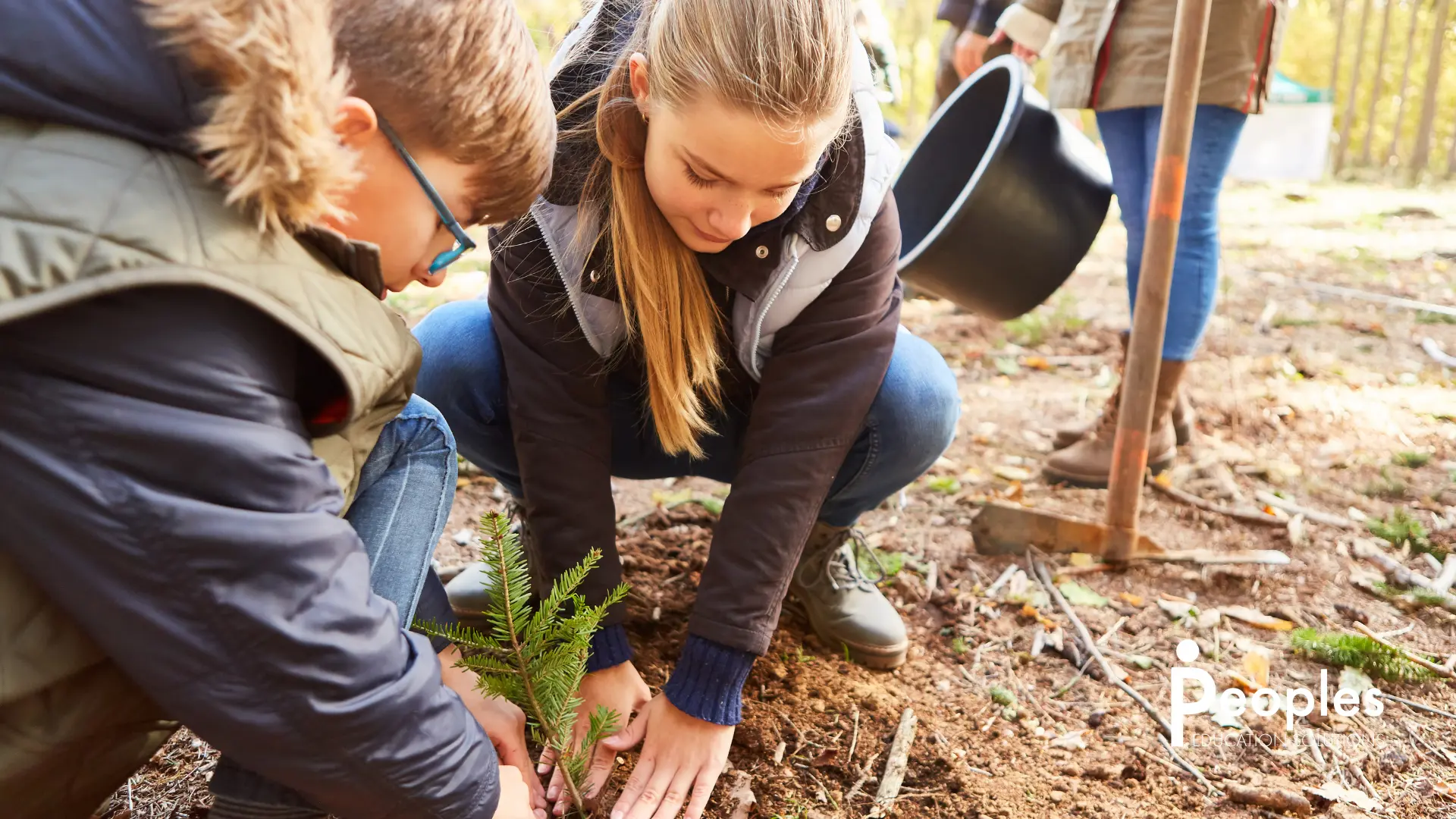 The Thoughtful Use of Alternative Provision: A Balanced Approach